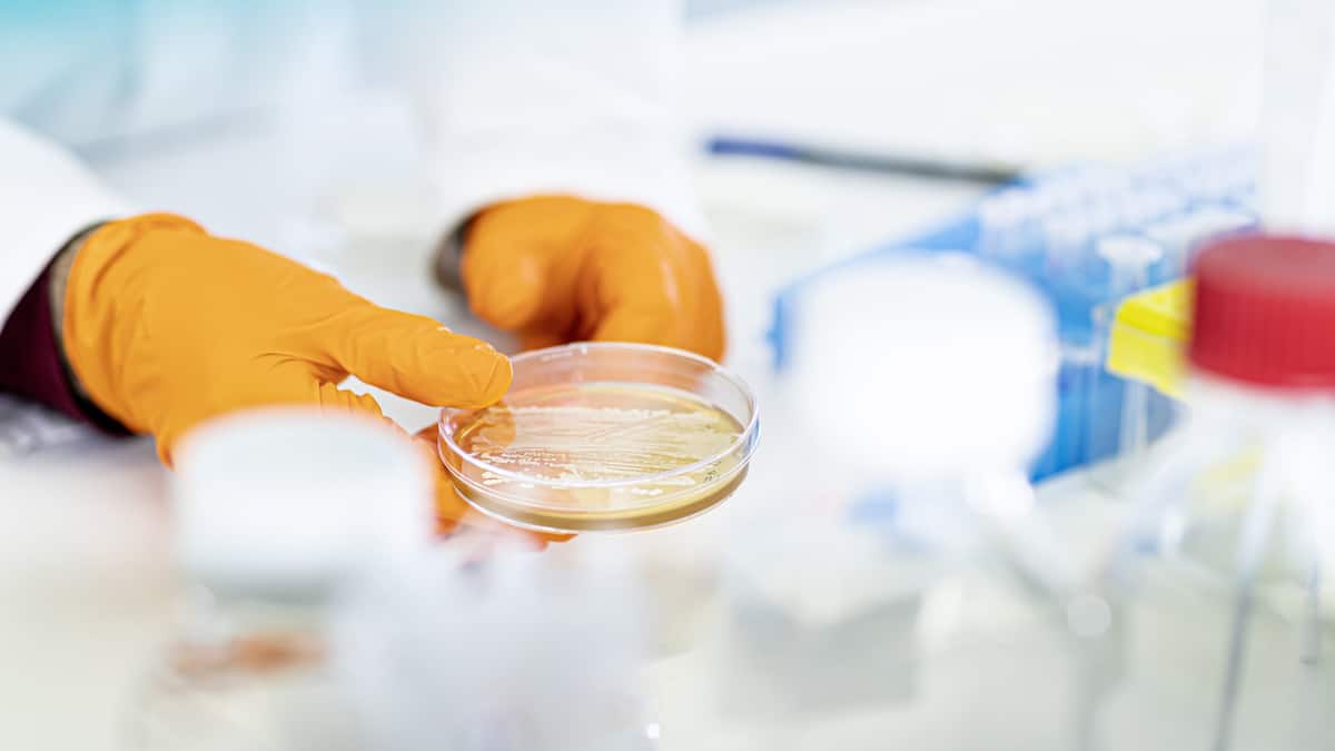 HBM-Portfoliofirma Cathay Biotech geht neue Zusammenarbeit ein | cash