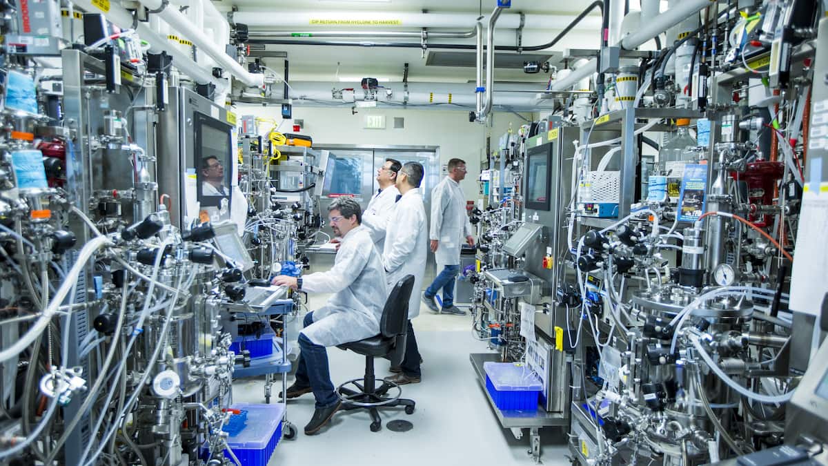 Roche-Tochter Genentech ab 2024 definitiv mit Ashley Magargee als CEO ...