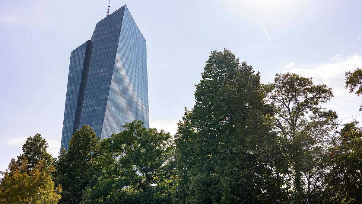 EZB strafft die jährliche Bankenprüfung | cash