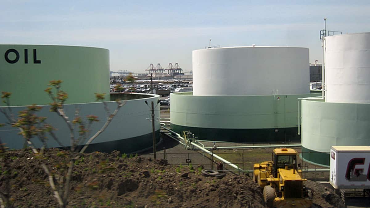 Vitol erzielt 2024 weniger Umsatz | cash