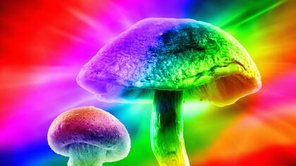 Psychedelische Drogen: Hype-Aktien mit Potenzial? | cash